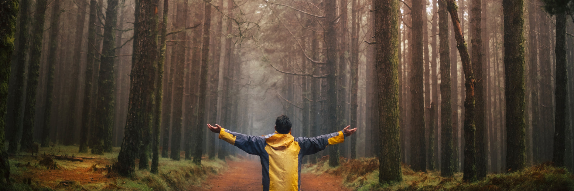 How do I Master My Emotions? — Freedom Elements